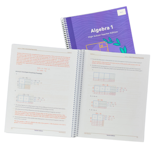 Algebra 1 Teacher Edition