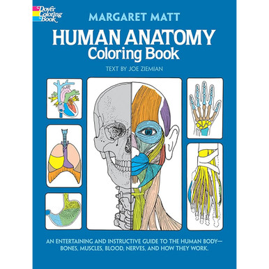 anatomy coloring book page 1