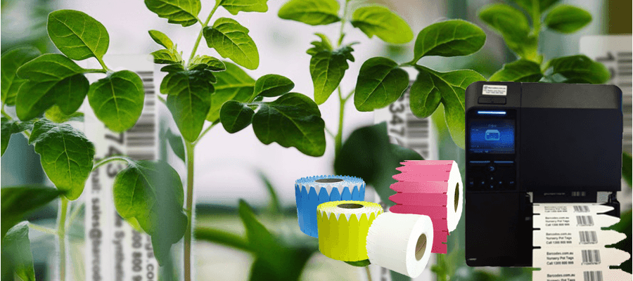 Plant Tags Printing Solution-Nursery Pot Tags and Printer - Barcodes ...