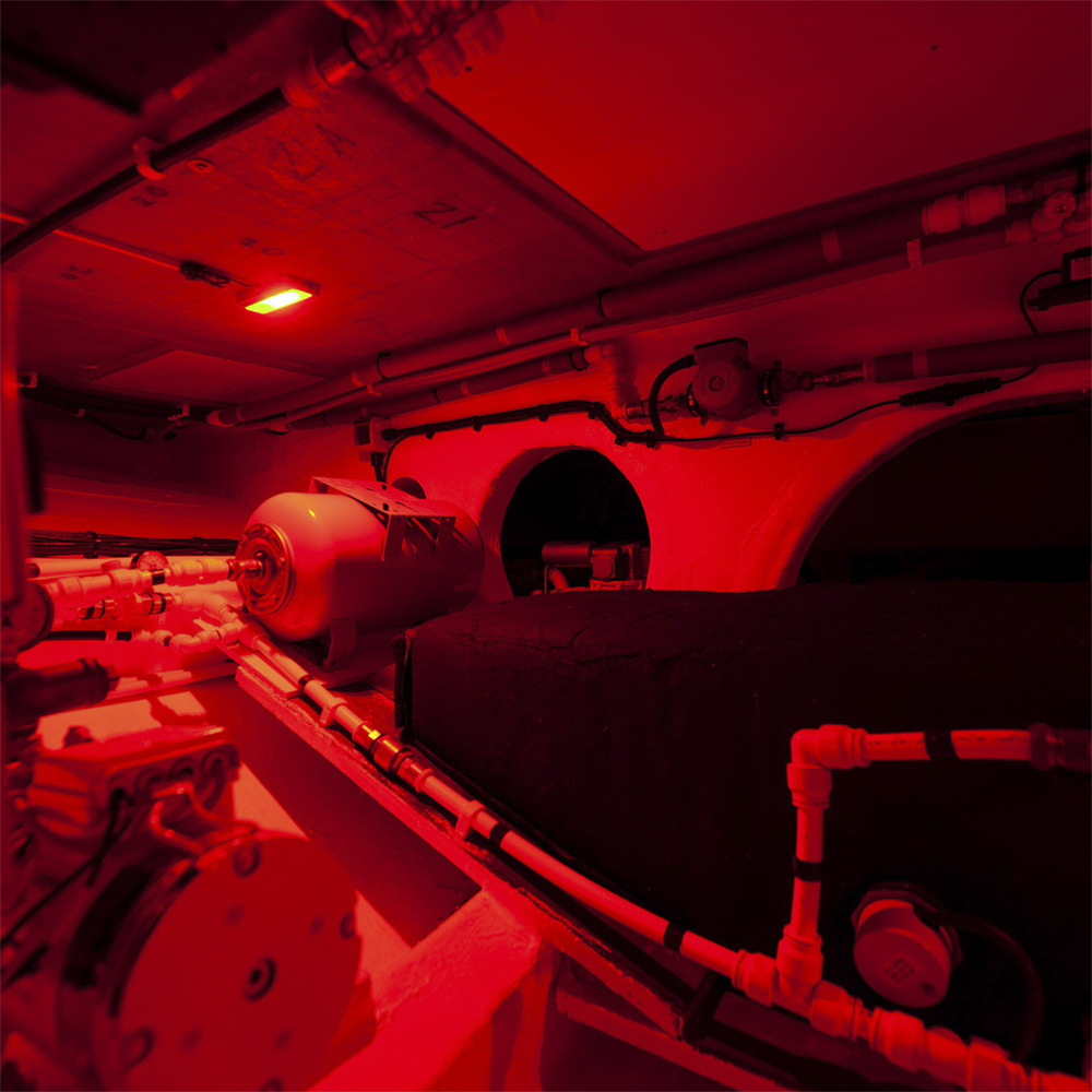 NEVIS 2 LED Engine Room Light - Dual Color | Lumitec Nevis