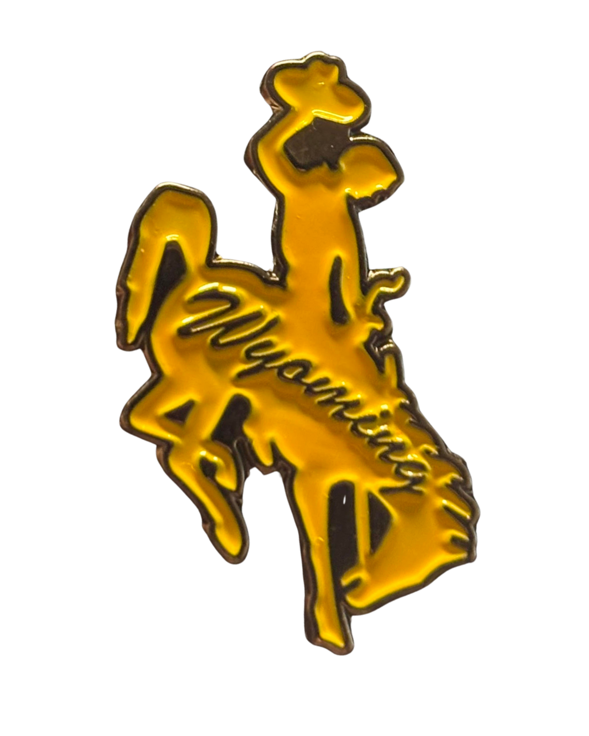 Gold Wyoming Steamboat Pin