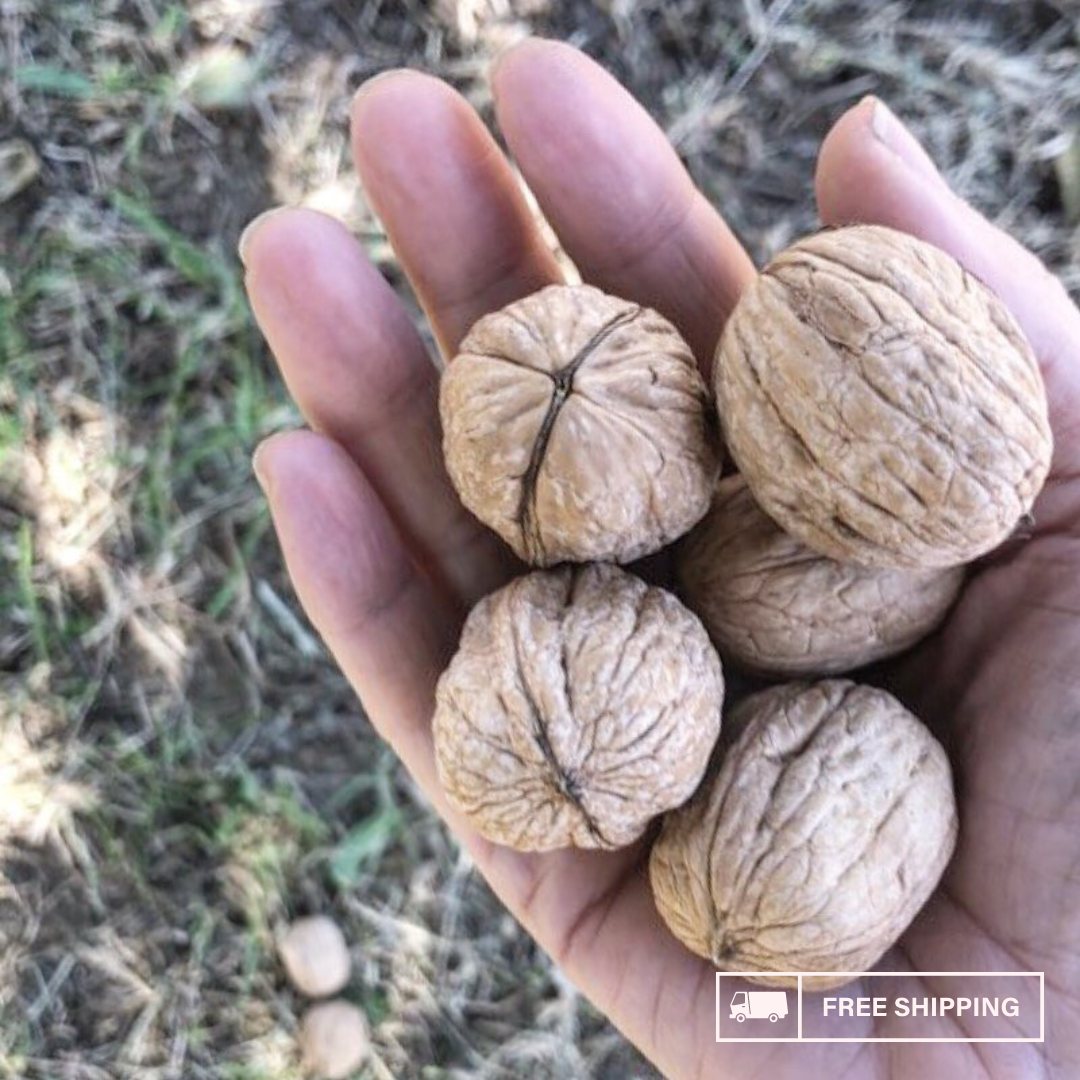 RAW ORGANIC WALNUTS - CORKY'S NUTS