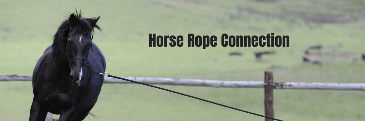 Rope Halters & Horsemanship Products