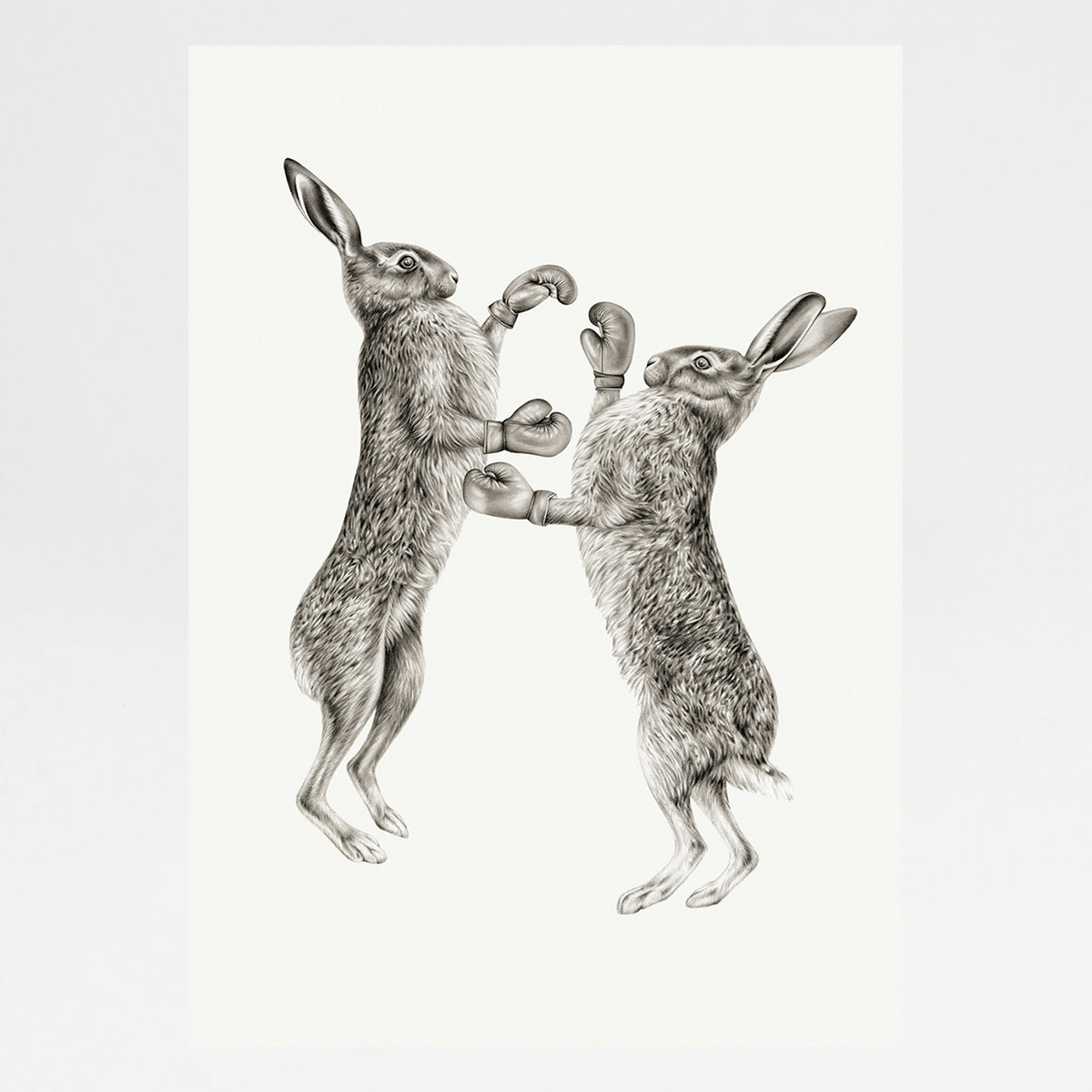 Yellow Hare A4 Screen Print by Tiff Howick at Of Cabbages and Kings