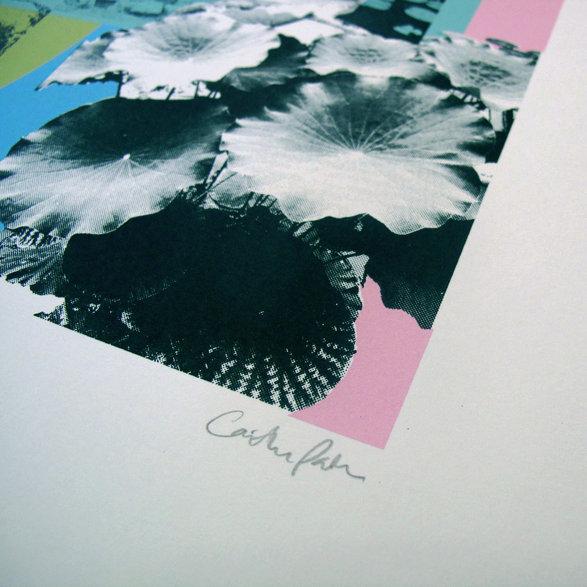 Kew Gardens London Limited Edition Screen Print by Caitlin Parks at Of ...