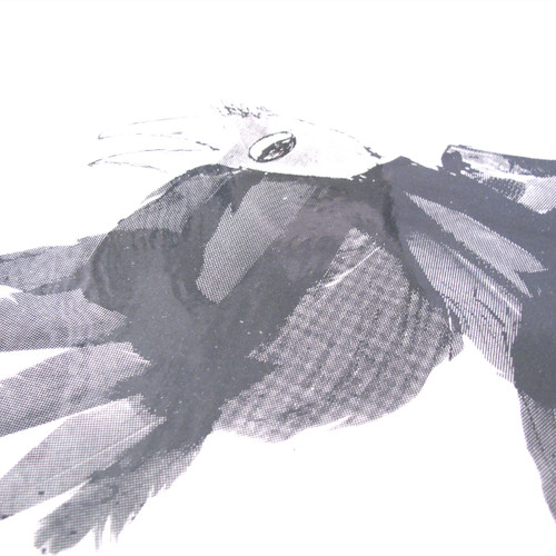 Green (Crow) Screen Print by Liz Loveless of Factory Press at Of ...