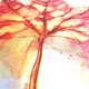 Autumn Leaf Screen Print by Gavin Dobson at Of Cabbages and Kings