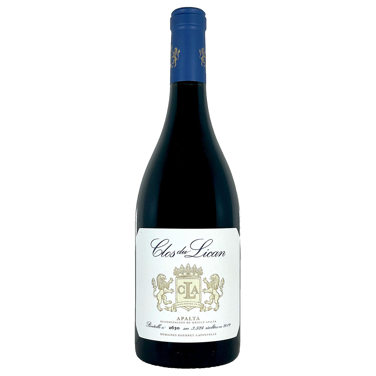 Domaines Bournet-Lapostolle 2019 Clos du Lican Apalta Syrah