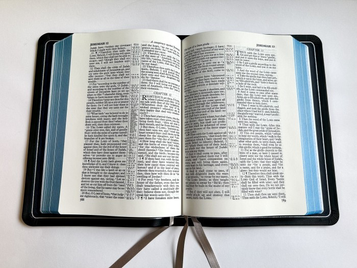 KJV Allan Longprimer Sovereign Edition - Black Meriva Calfskin - Silver ...
