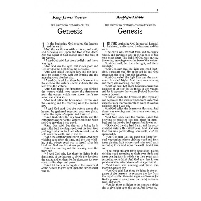 KJV/Amplified Parallel Bible - Large Print - The KJV Store