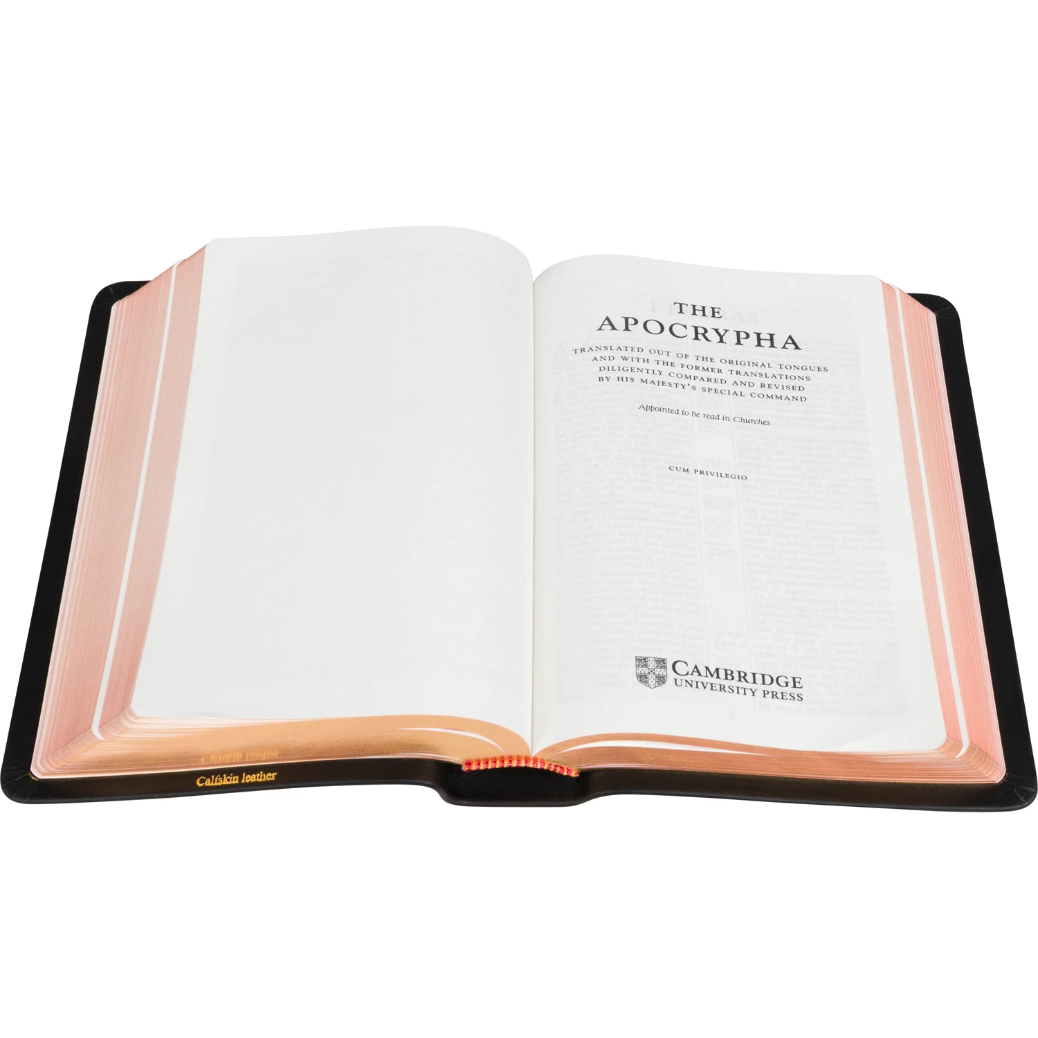 KJV Cameo Reference Bible with Apocrypha (Cambridge) - The KJV Store