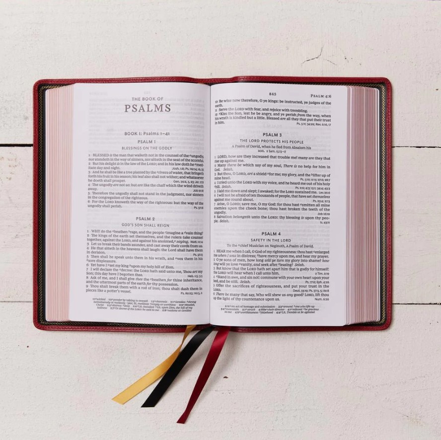 KJV Large Print Personal-Size Single-Column Reference Bible - Premier ...