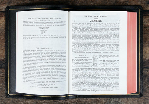 KJV Classic Large Print Study Bible (With C.I. Scofield Notes ...
