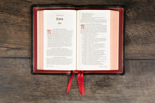 The KJV Store Reader's Edition Bible with Sacred Syntax™