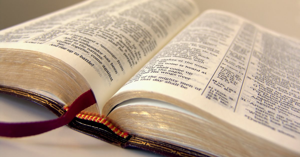 A Beginner’s Guide to the Different Types of Bible Bindings - The KJV Store
