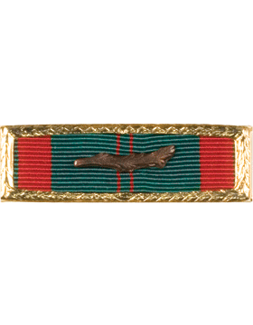Vietnam Civil Action with Palm Unit Citation w/SML Frame