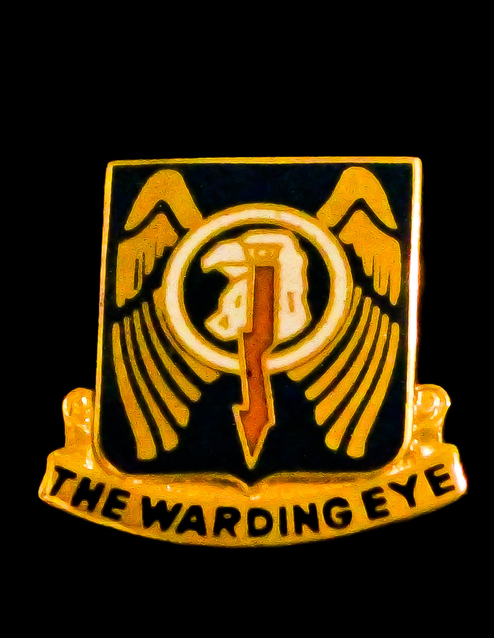 501st Aviation Unit Crest (The Warding Eye)