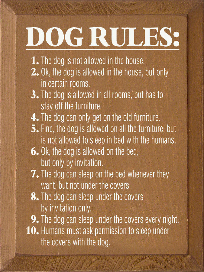 Dog Rules Sign | Wood Signs With Sayings Wholesale | Sawdust City Wholesale