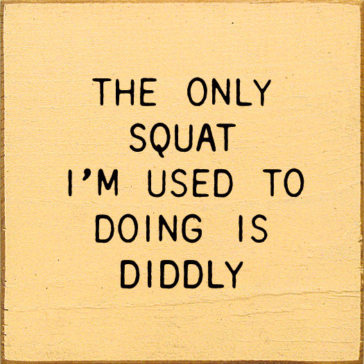 The Only Squat I'm Used to Doing Is Diddly | Funny Wood Signs | Sawdust ...