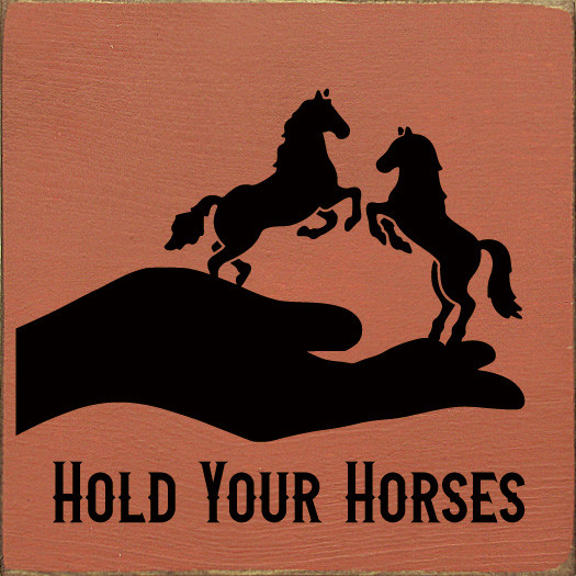Wholesale Wood Sign: Hold Your Horses