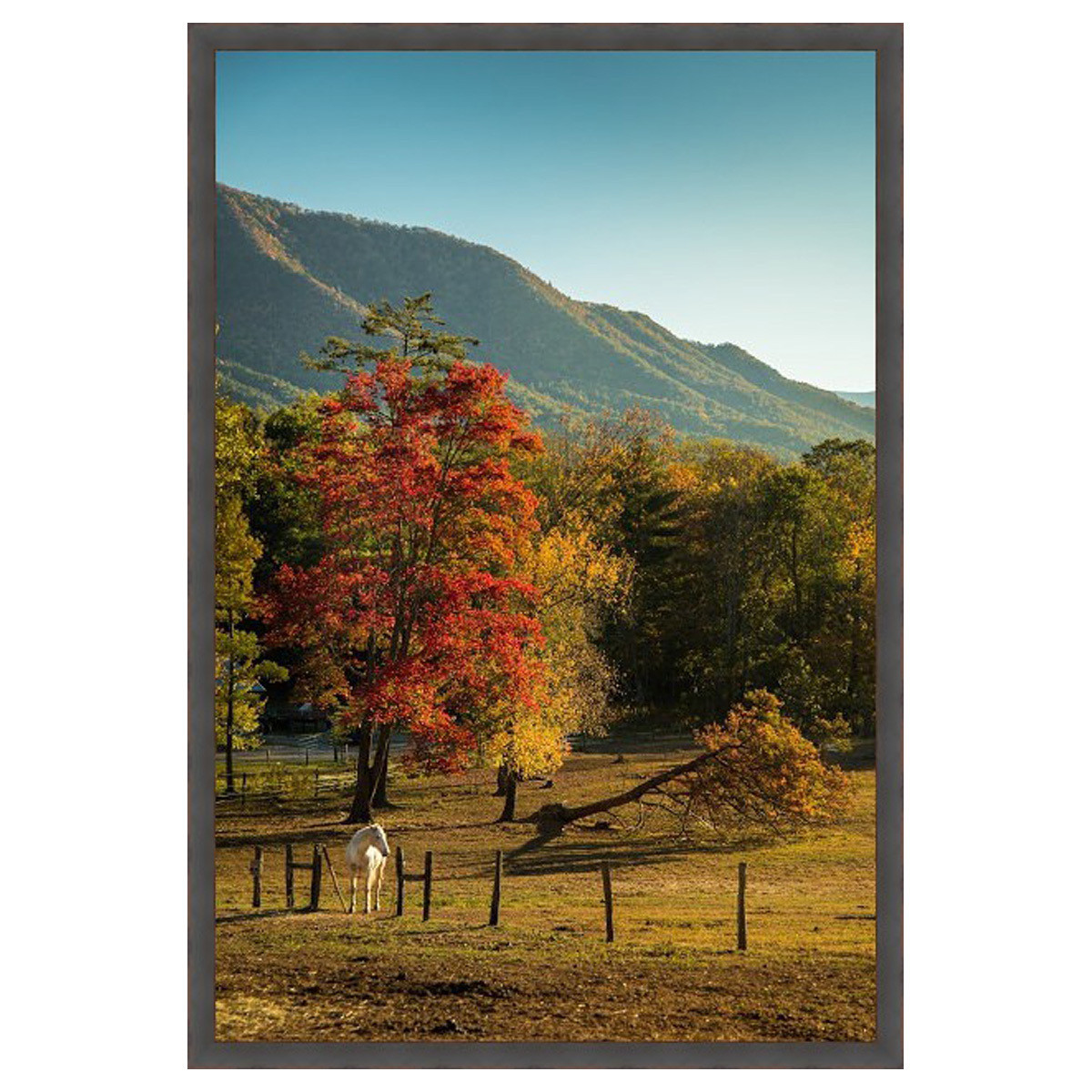 American Countryside Wall Art | Lone Star Western Decor