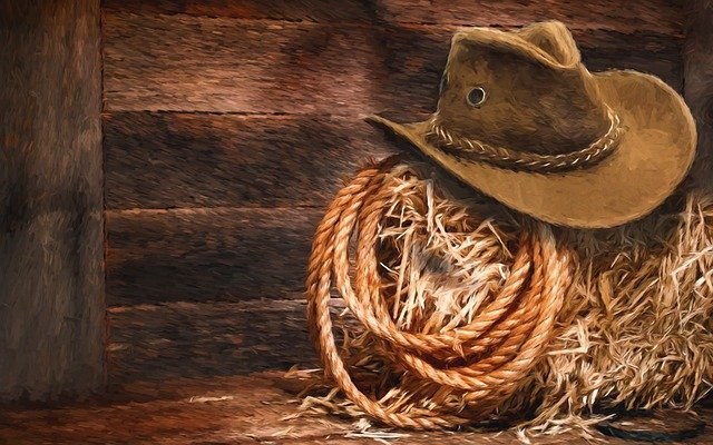Western Crafts for Kids and Adults - Lone Star Western Decor