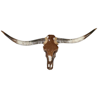 Authentic Longhorn Skull with Brown Cowhide & Copper Glass | Lone Star ...