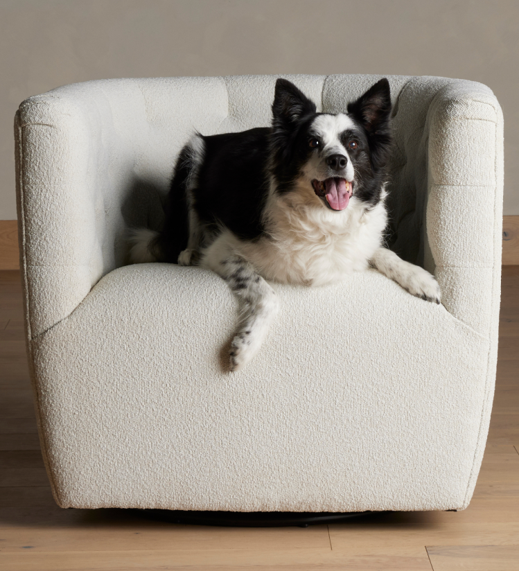 Pet-Friendly Home Furnishings: Balancing Style & Function - Zin Home Pet-Friendly Home Furnishings: Balancing Style & Function - Zin Home