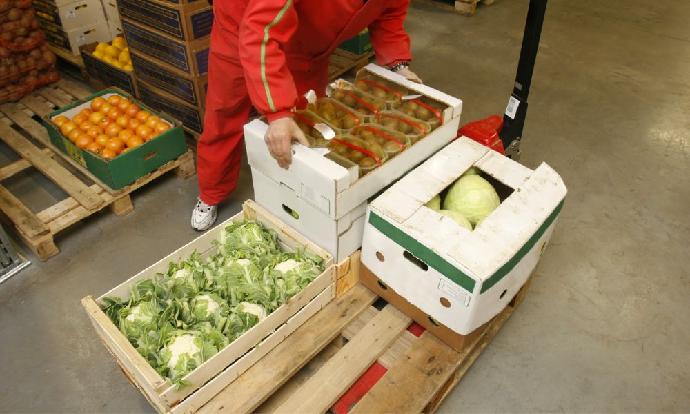What To Expect When Ordering Food Service Supplies in Bulk - KEVIDKO