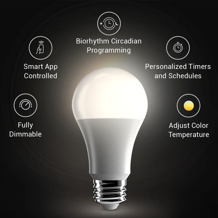 Leona Smart Bulbs - Wifi, E26 Base, Tunable White