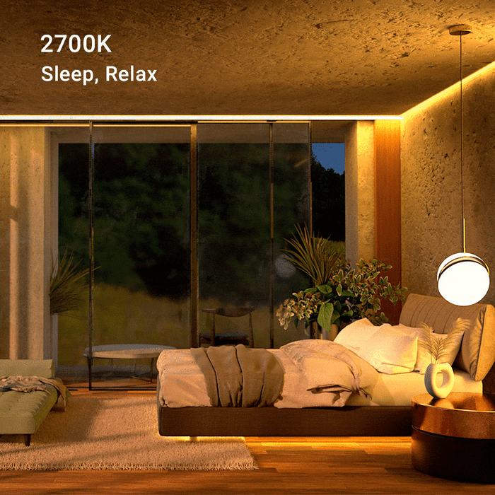 Accent Series Dynamic Tunable White LED Strip Lights - CRI 97