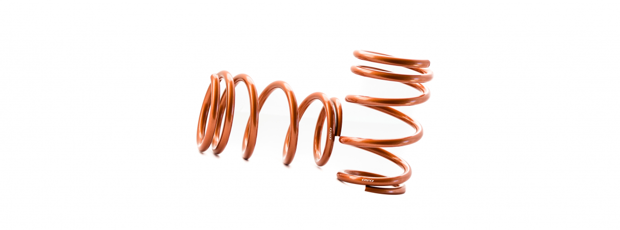 Techno Toy Tuning Swift Japan 8KG or 6KG Front Lowering Springs for the ...