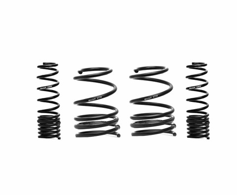 Integra Type S Spec-R Springs - Touge Factory