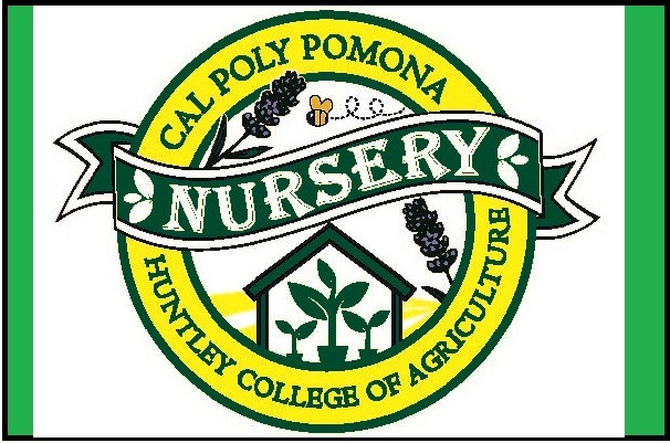 Papaya Plants - Cal Poly Pomona Nursery at the Farm Store at Kellogg Ranch