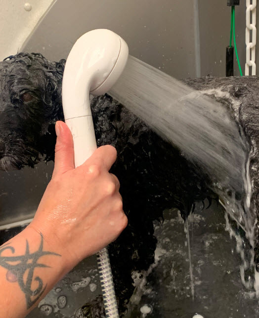 Microbubble shower head in pearl white - ReliqPet