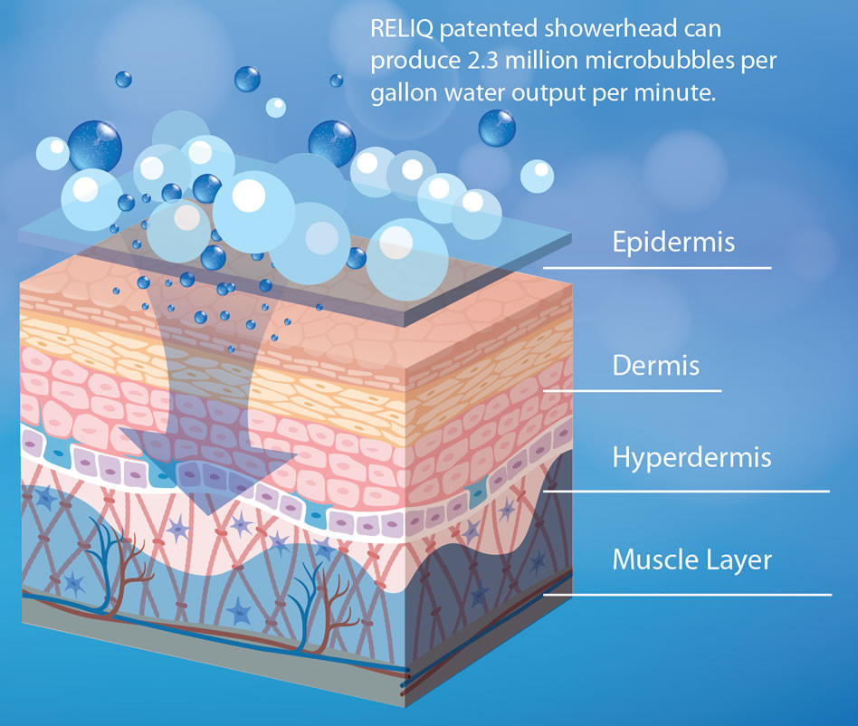Micro bubble shower head in brushed nickel - ReliqPet