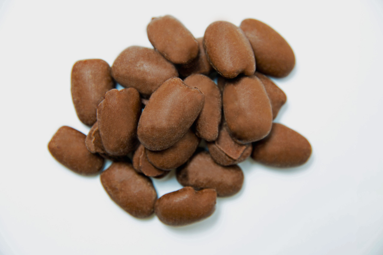 Elizabeth’s Extravagant Milk Chocolate Coated Pecans - Elizabeth's Pecans