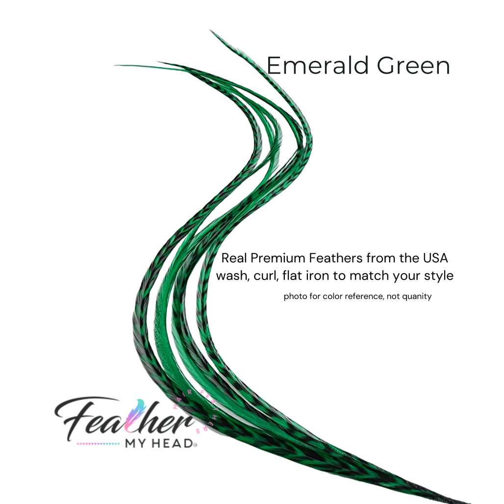 Emerald Green Hair Feather Extensions - Feather My Head Hair Feathers