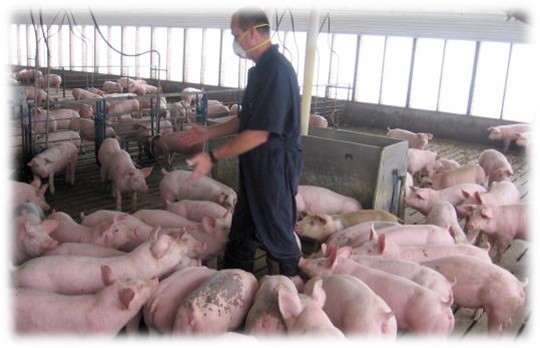 Essential Farm Biosecurity Products - Farmer Boy