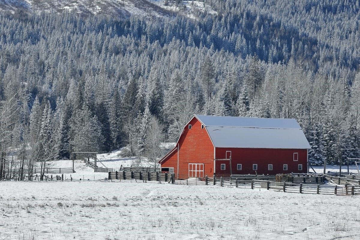 Preparing Your Barn For Winter: 7 Tips To Winterize Your Barn - Farmer Boy