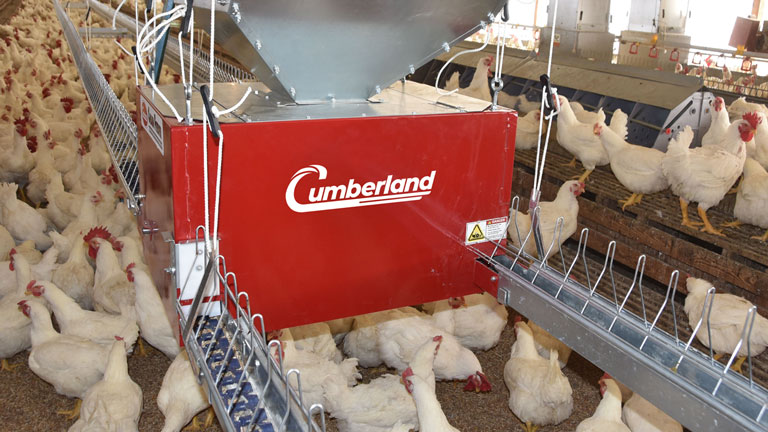 Is Investing in Automated Feed Distribution Systems Worth It For Your ...
