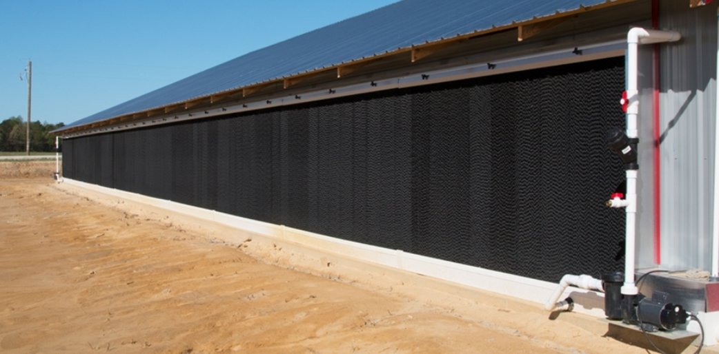 Evaporative Cooling Pad Prep: Getting Your Cooling Cells Ready for ...