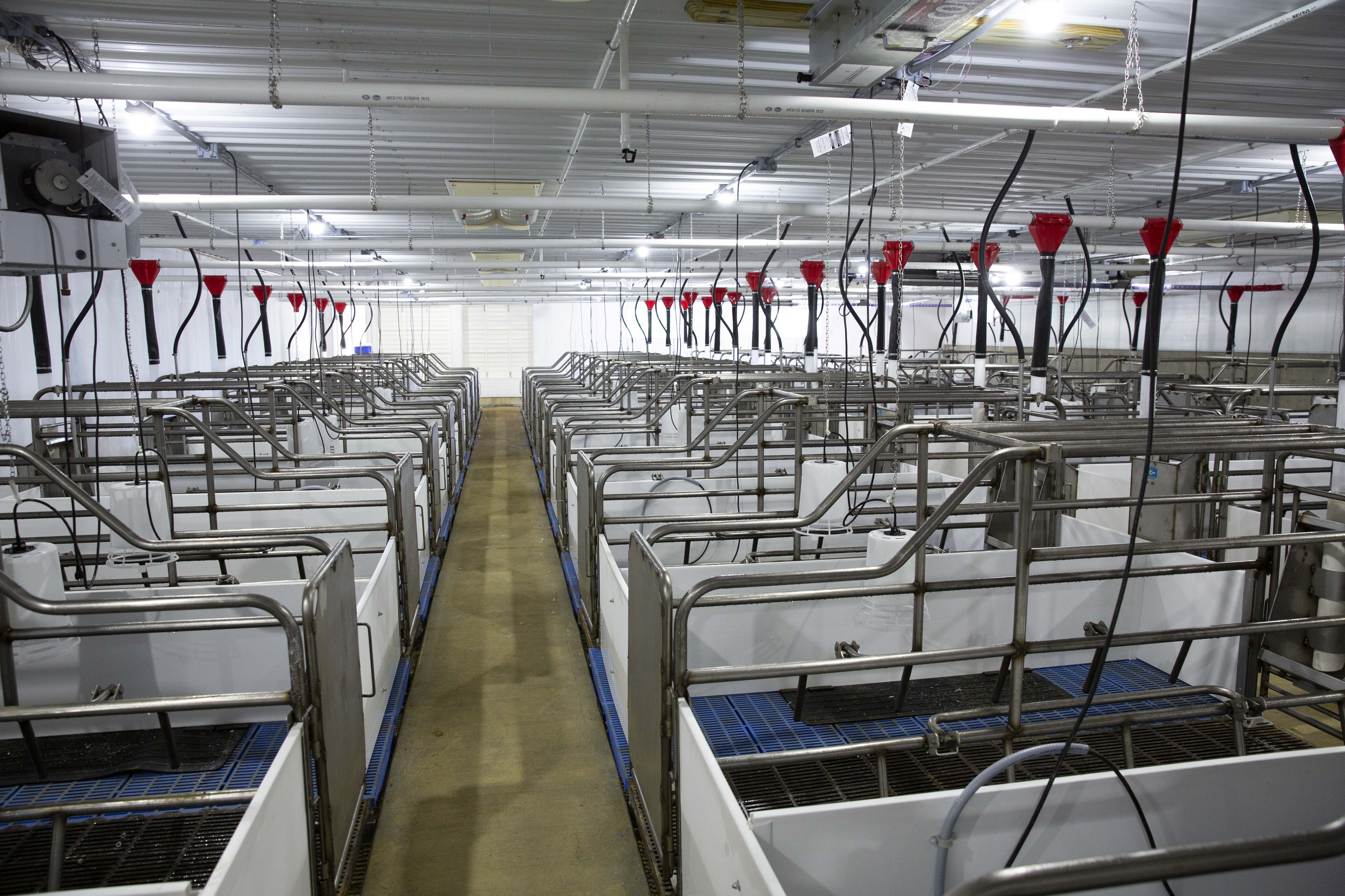 The Benefits of PVC Panels For Livestock Barns - Farmer Boy
