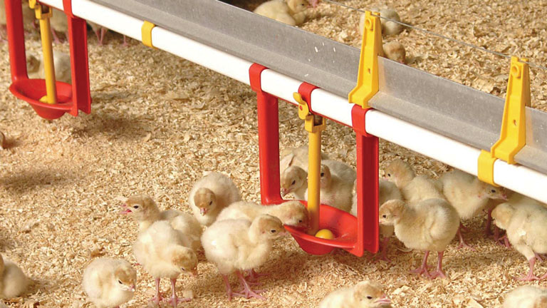 Automated Solutions For Wintertime Livestock Watering - Farmer Boy