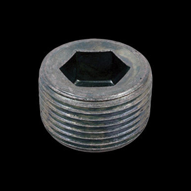 3/8" Hex Socket Plug