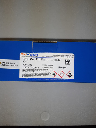 BrdU Cell Proliferation Assay Kit | K306 | BIOVISON