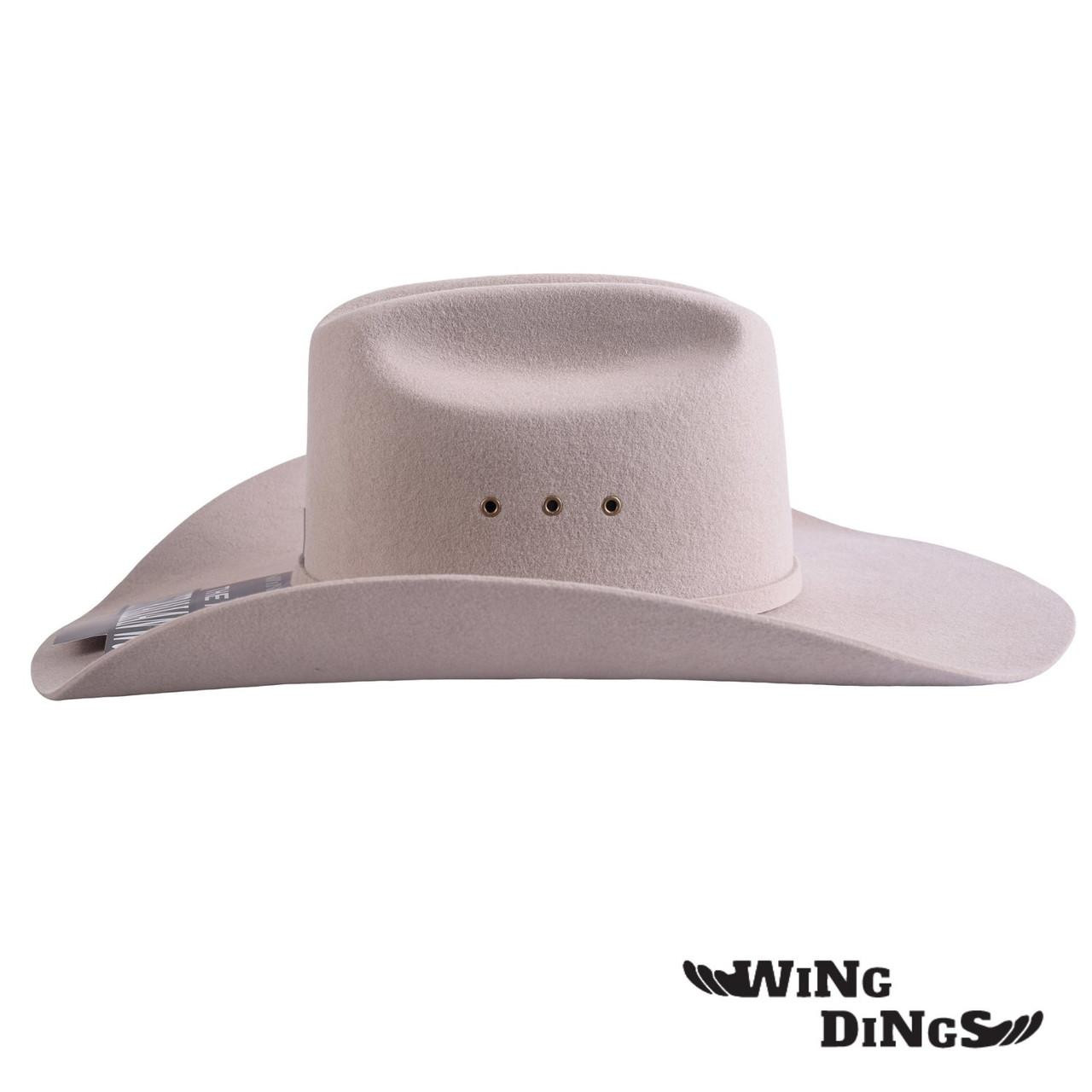 Wing Dings The Ride In Desert Sand