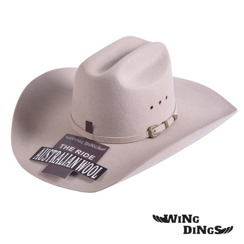 Wing Dings The Ride In Desert Sand