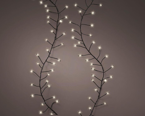 LED Micro Warm White 19.7 ft. Compact Lights on Black Wire - Carol and ...