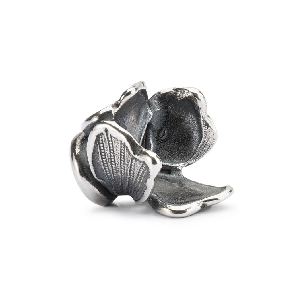 Buy Trollbeads Silver Charms | TrollbeadsAkron.com
